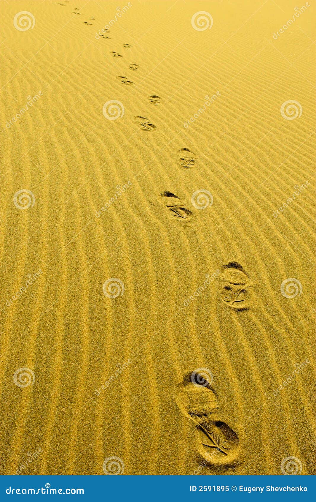 Footsteps stock image. Image of extreme, route, trekking - 2591895