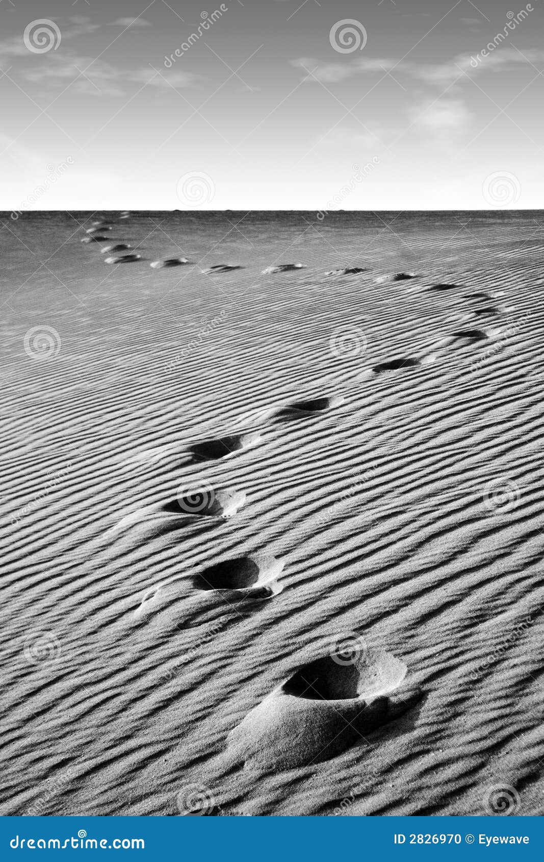 Footsteps stock photo. Image of dune, desert, natural - 2826970
