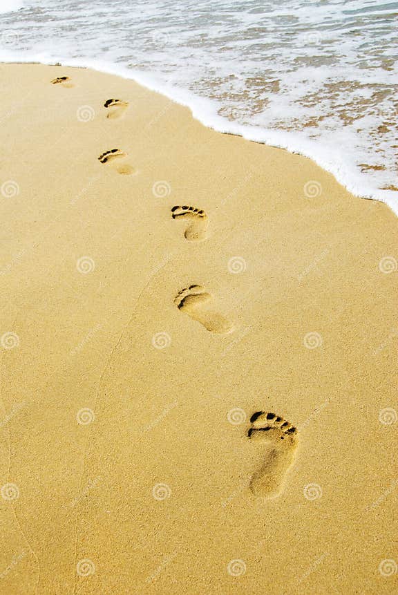 Footsteps stock photo. Image of beach, tropics, footprint - 4100442