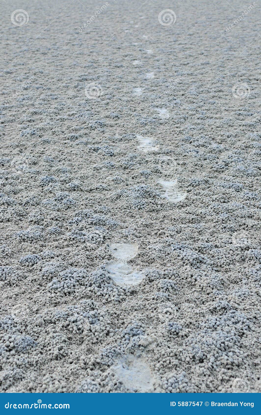 Footsteps stock image. Image of seaside, abstract, surface - 5887547