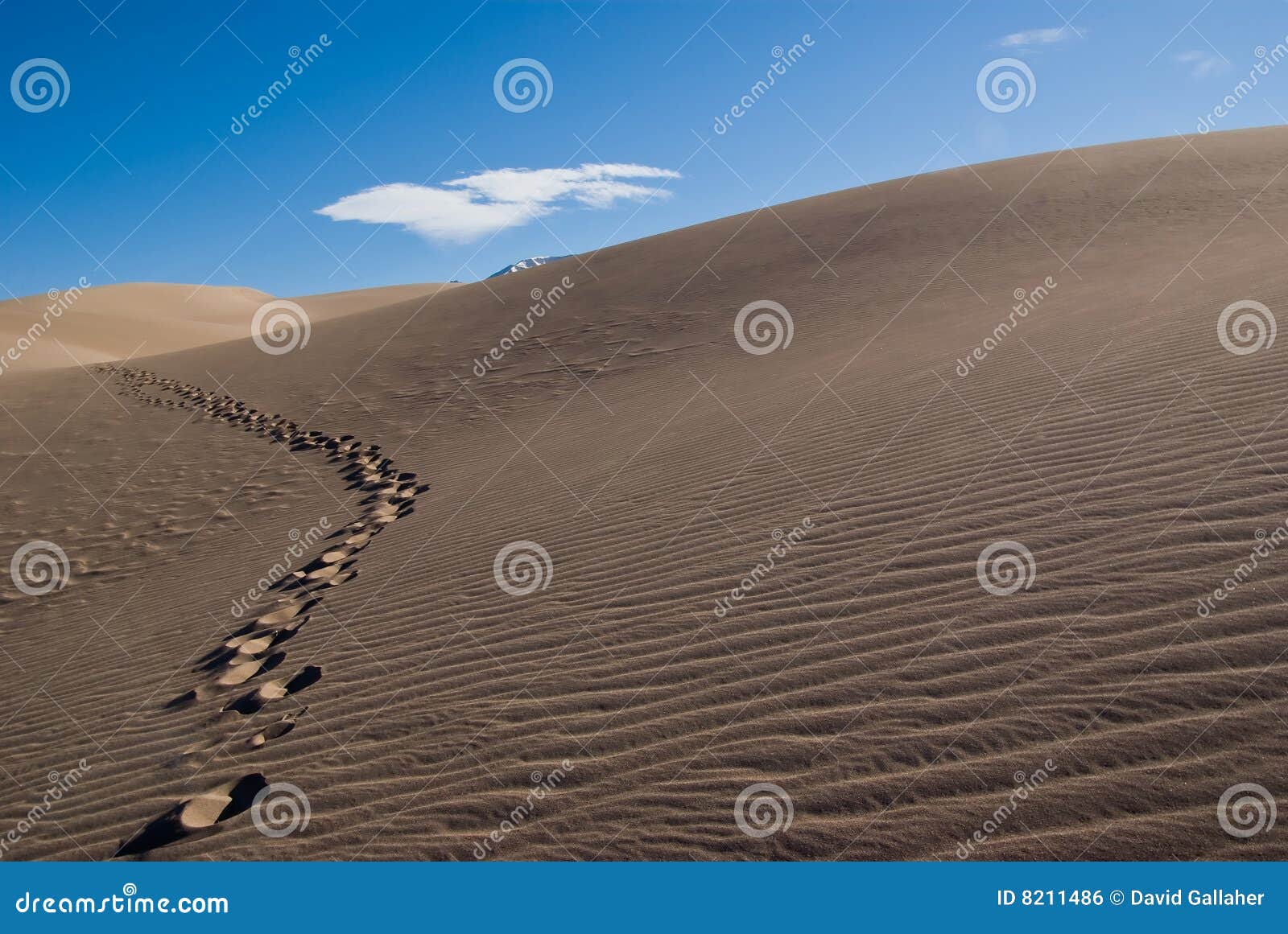 Footsteps stock photo. Image of dune, landscape, desert - 8211486