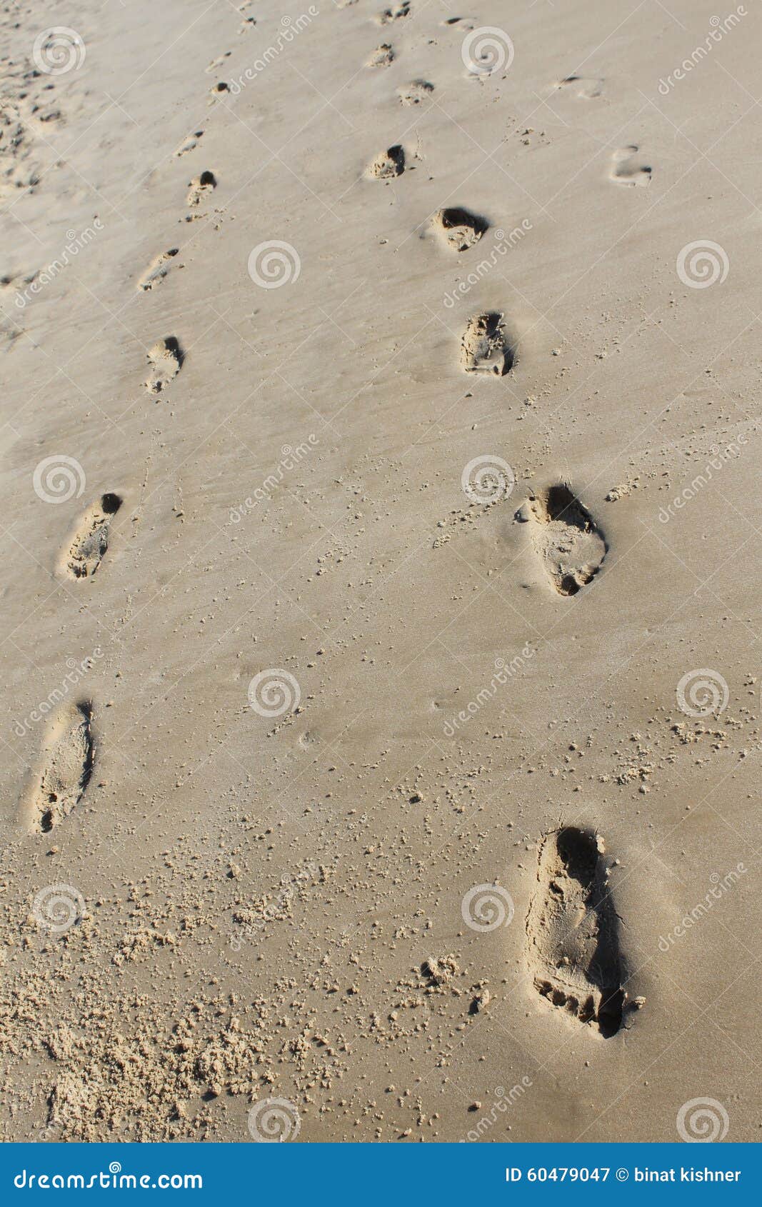 Footsteps on the beach stock image. Image of path, summer - 60479047