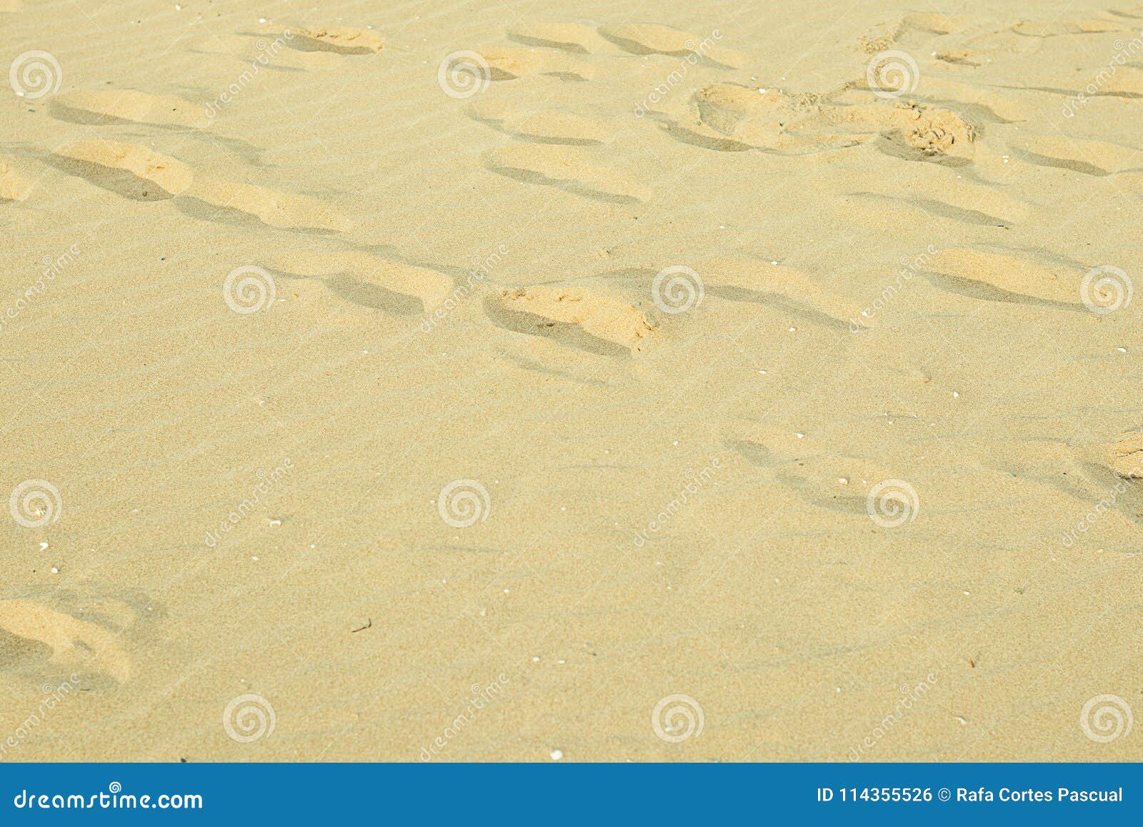 Footsteps on the Beach Sand Stock Photo - Image of holiday, search ...