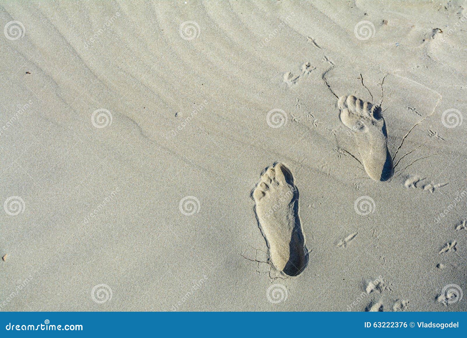 Footsteps on the Beach by the Sea in Summer. Horizontal View of Stock ...