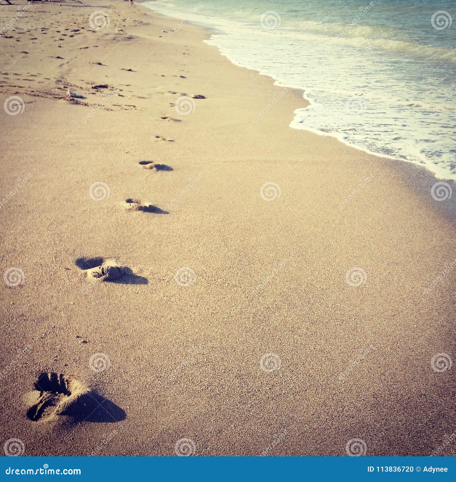 Footsteps at the beach stock photo. Image of light, details - 113836720