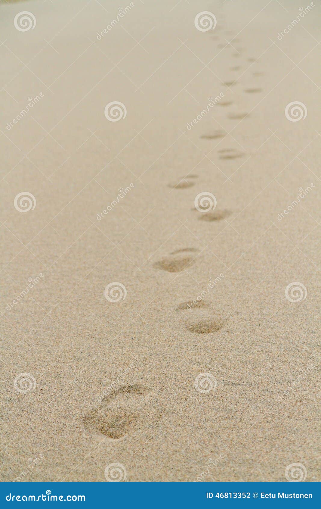 Footsteps on a beach stock photo. Image of path, step - 46813352