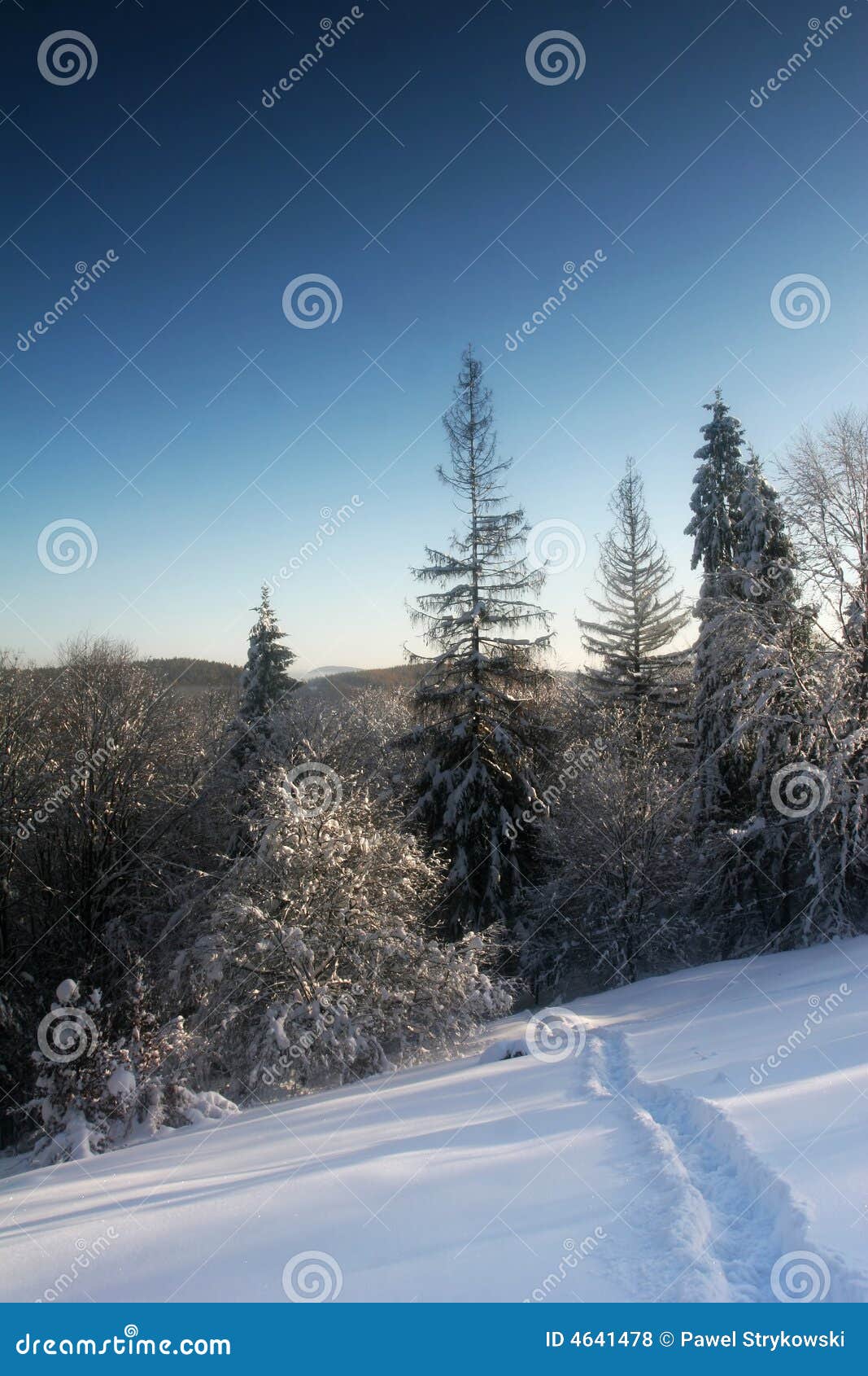 Footsteps in deep snow stock photo. Image of cloudless - 4641478