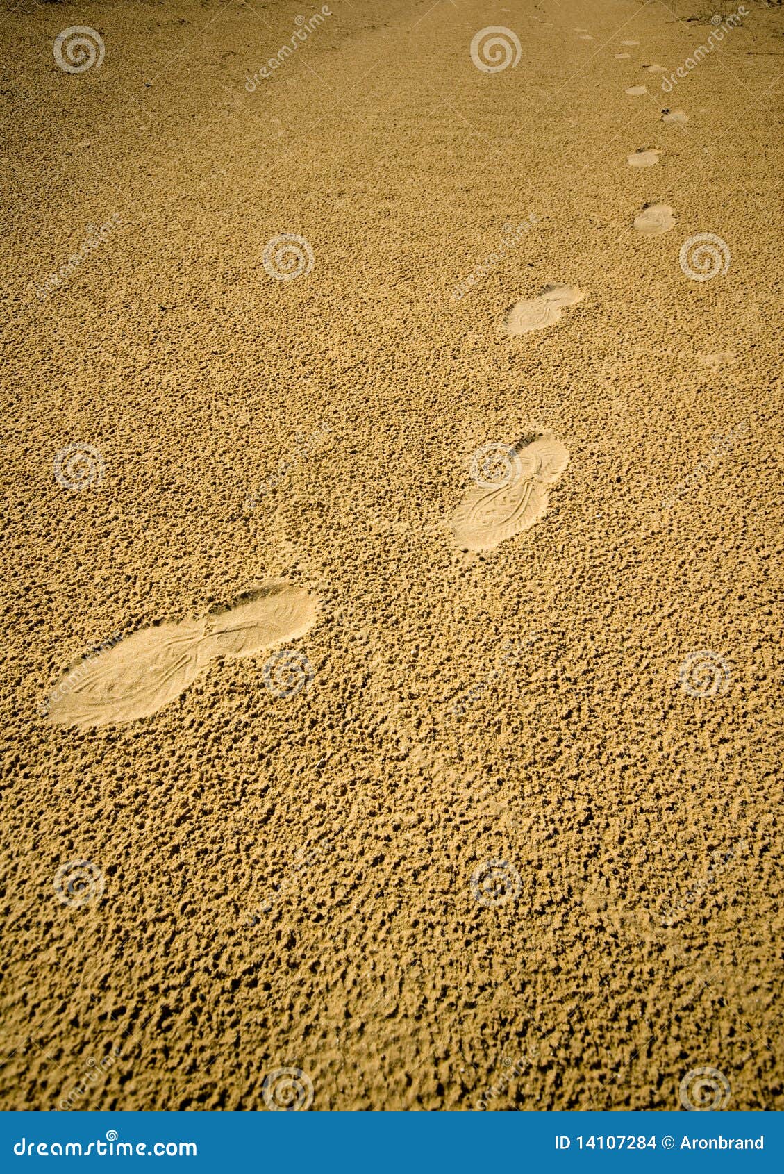 Footsteps in the desert stock photo. Image of footstep - 14107284