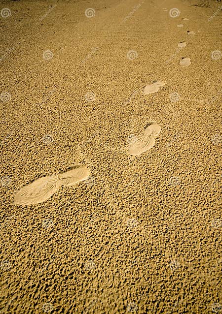 Footsteps in the desert stock photo. Image of footstep - 14107284