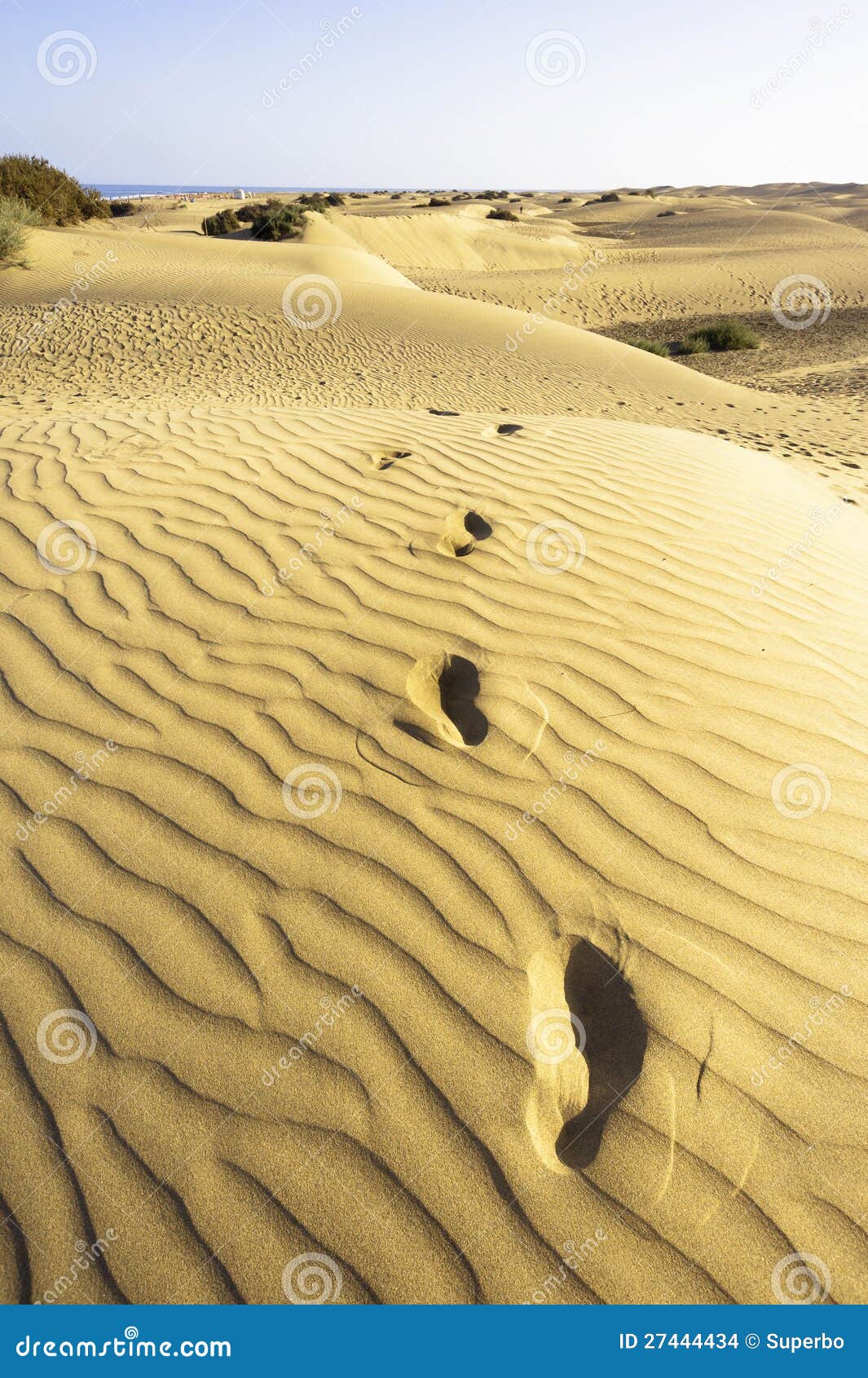 Footsteps in desert stock photo. Image of sole, sultriness - 27444434