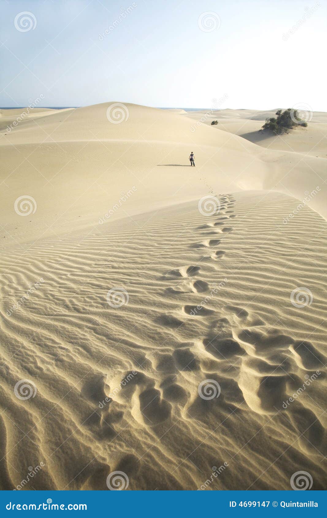 Footsteps at the desert stock image. Image of sand, great - 4699147