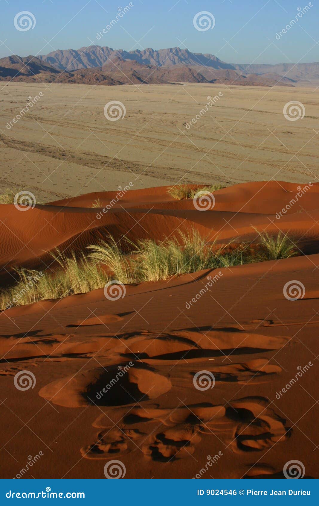 Footsteps on Elim Dune in Namibia Stock Photo - Image of namib, desert ...