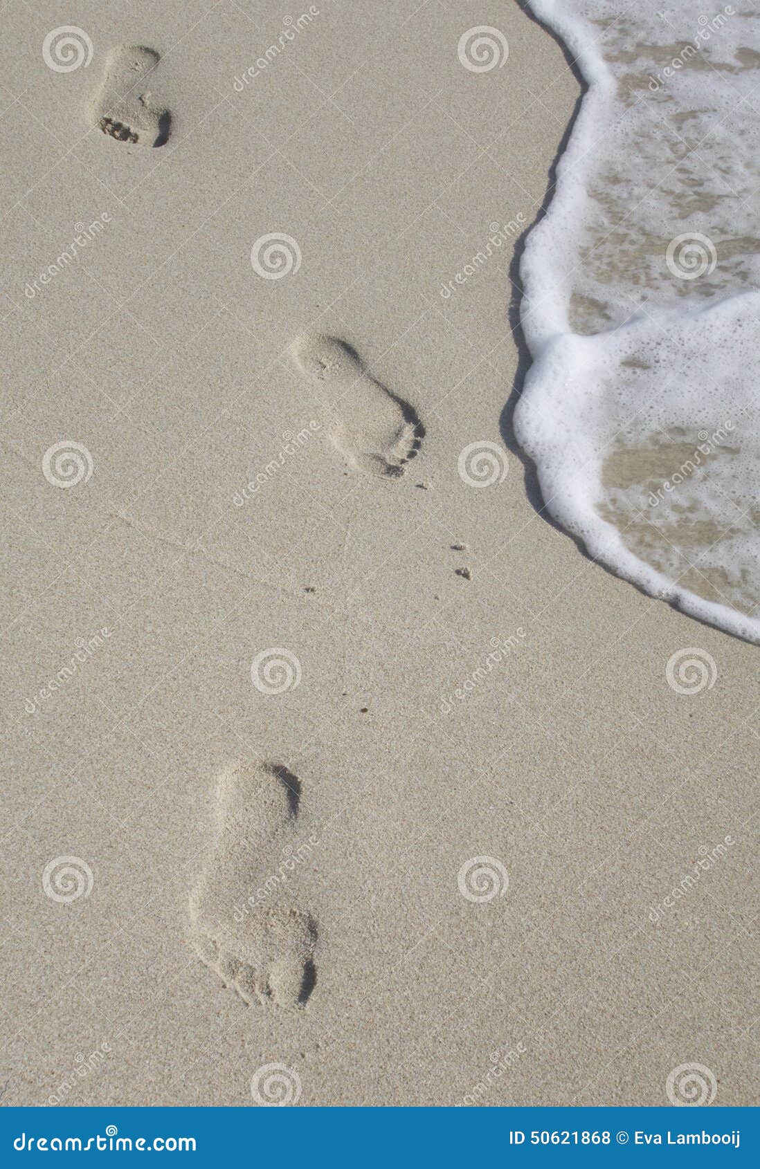 Footsteps stock photo. Image of footstep, path, walk - 50621868