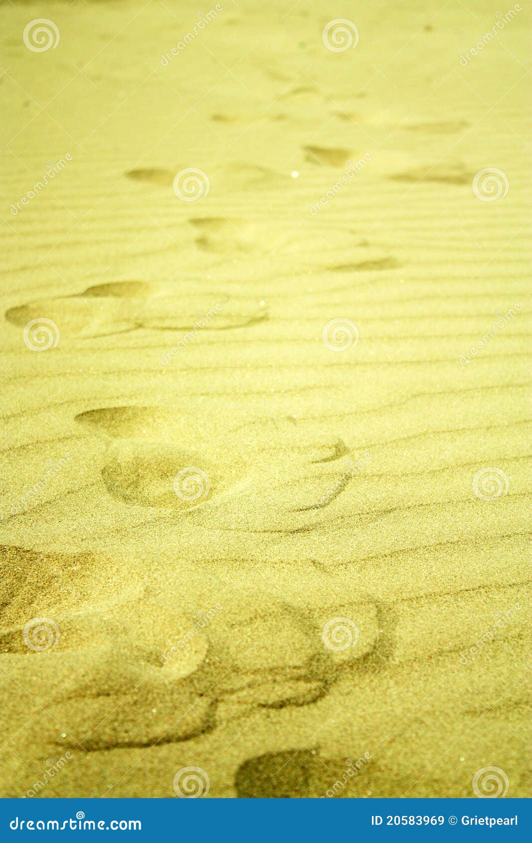 Footsteps in Golden Sand on the Beach Stock Image - Image of abstract ...