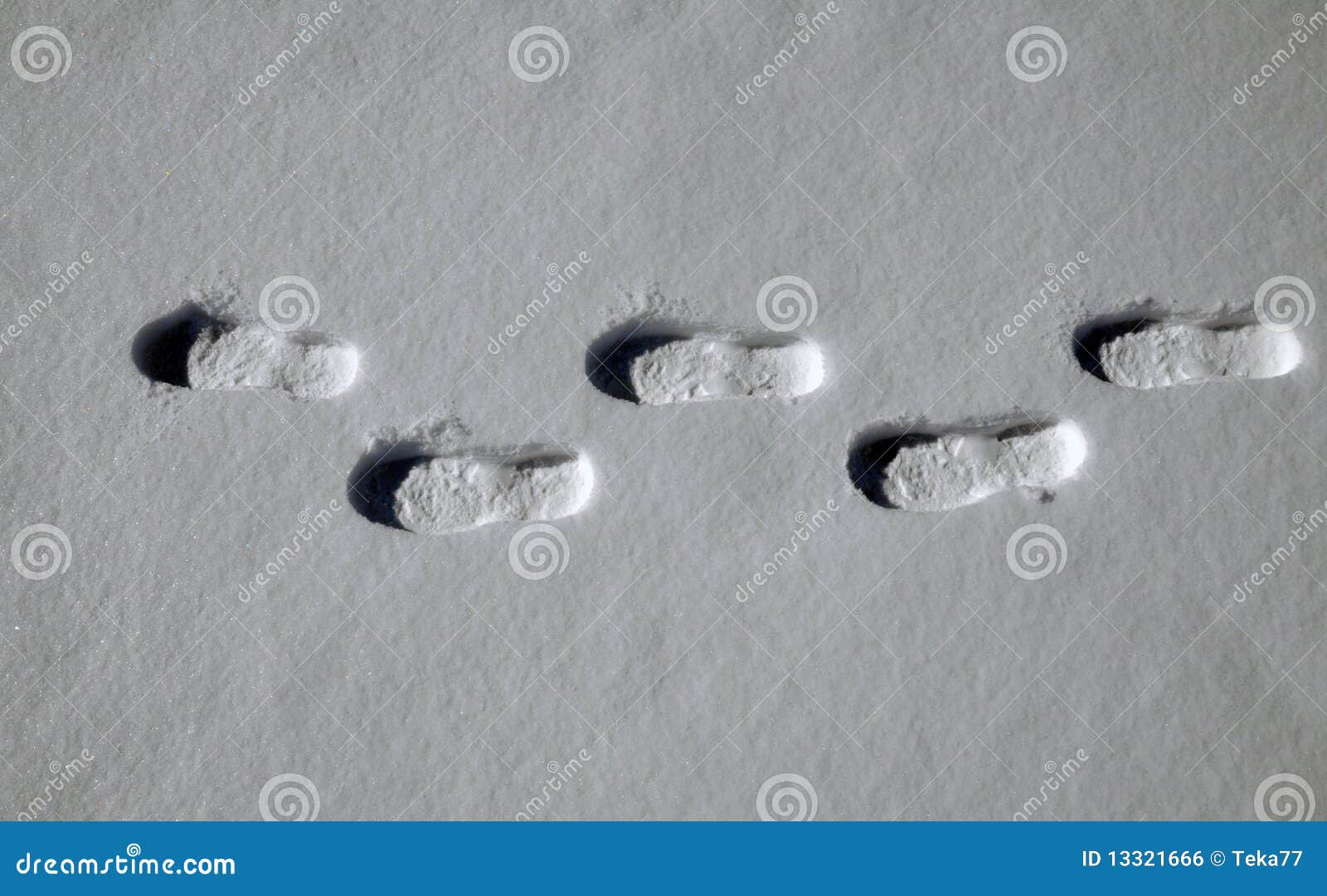 Footsteps ind the snow stock photo. Image of footprints - 13321666