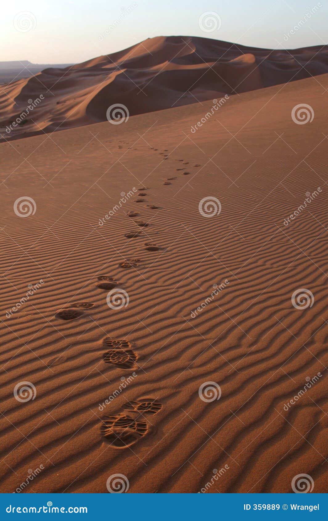 Footsteps in the Sahara Desert Stock Image - Image of footprint, sand ...