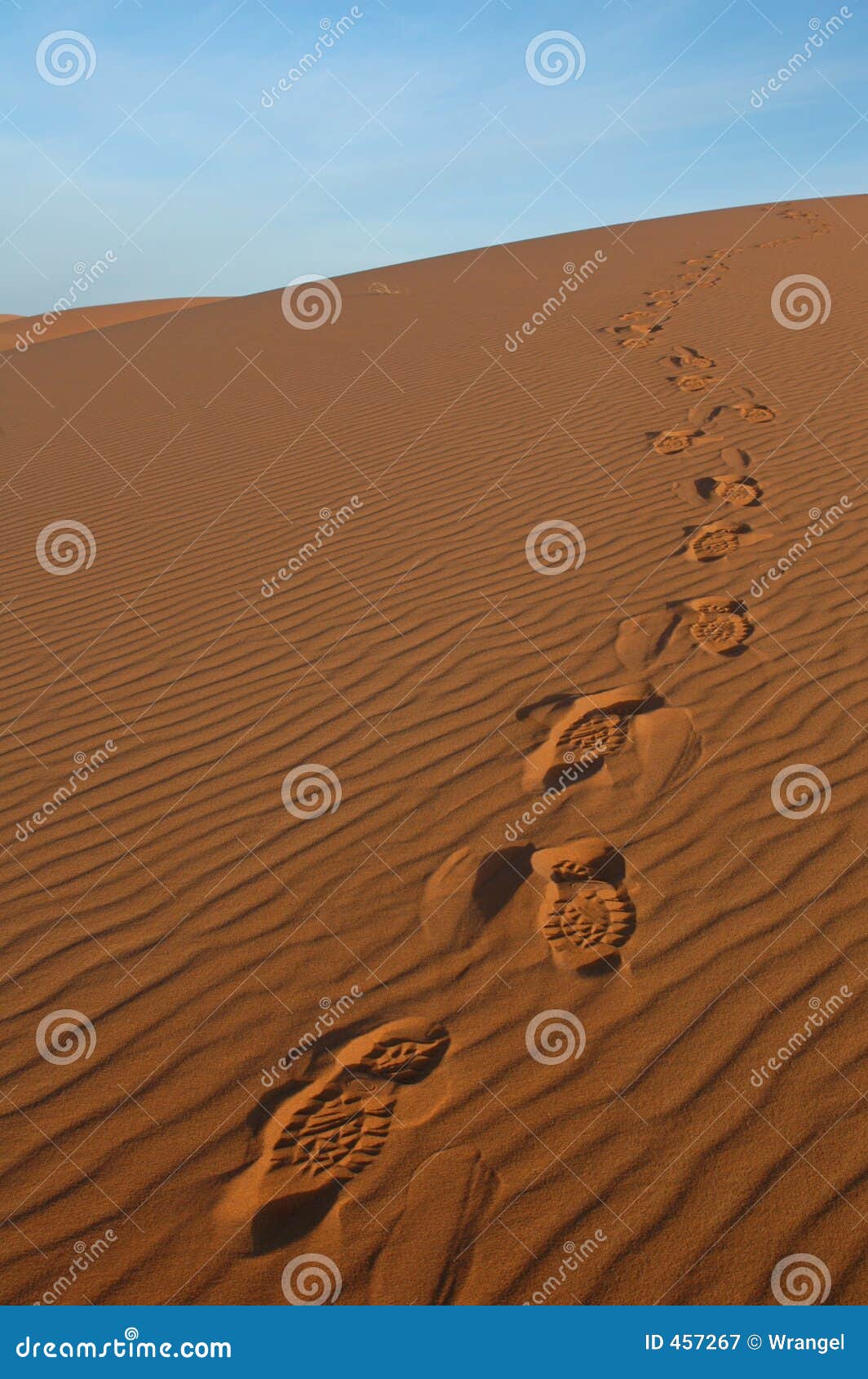 Footsteps in the Sahara Desert Stock Image - Image of desert, egyptian ...
