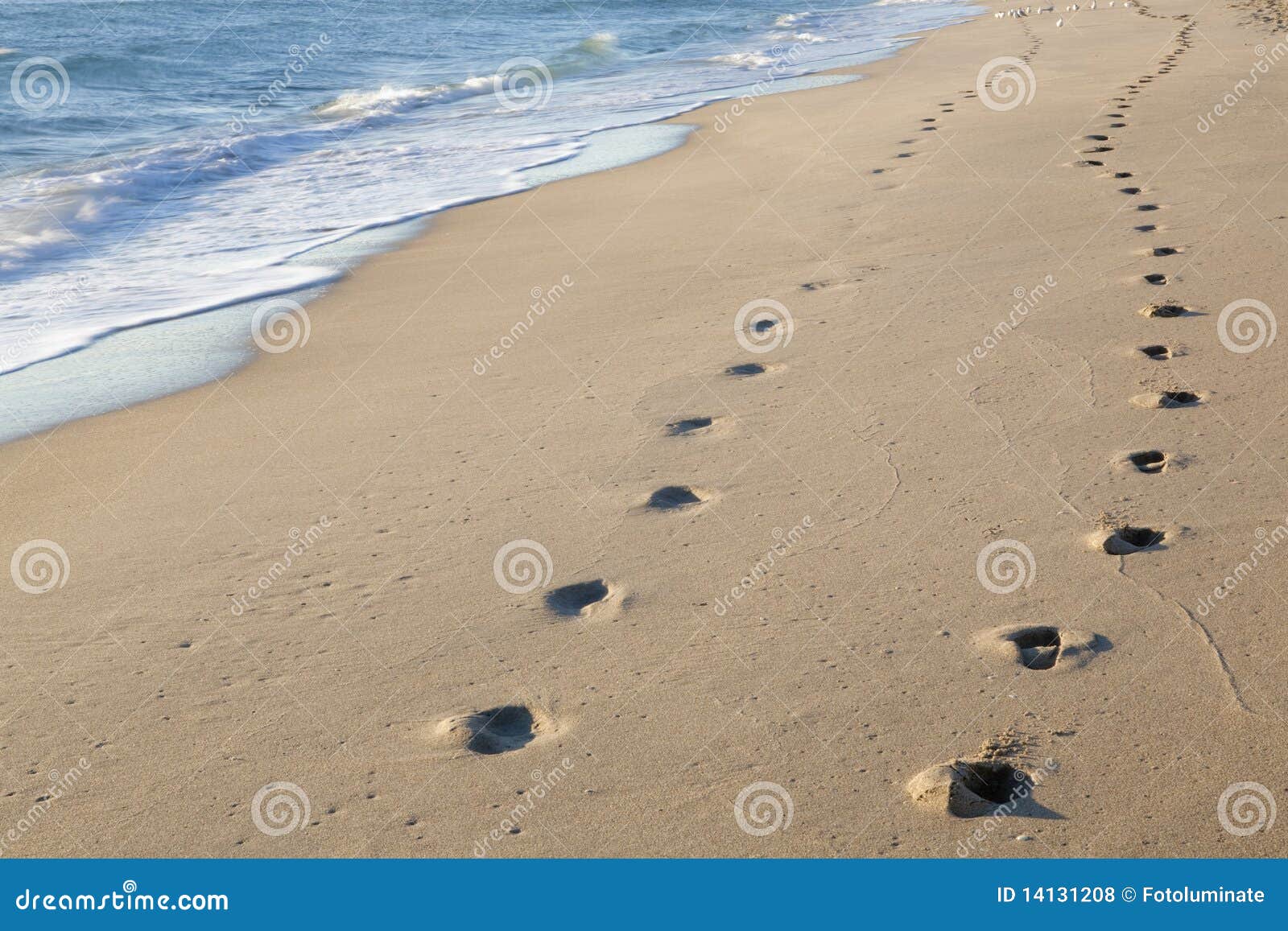 Footsteps In The Sand Royalty Free Stock Photos - Image: 14131208