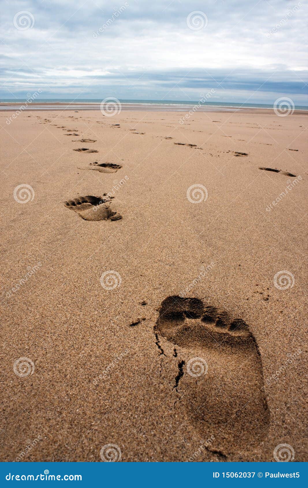 Footsteps in the sand stock image. Image of landscape - 15062037
