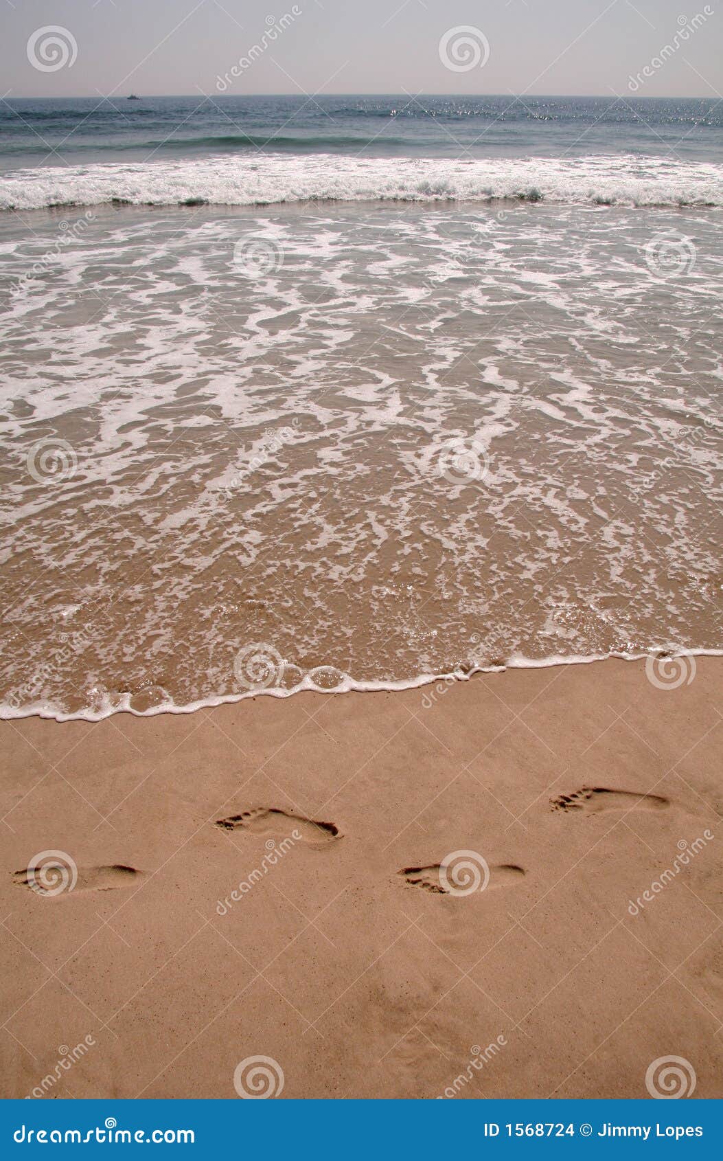 Footsteps in the Sand stock photo. Image of vacation, prints - 1568724