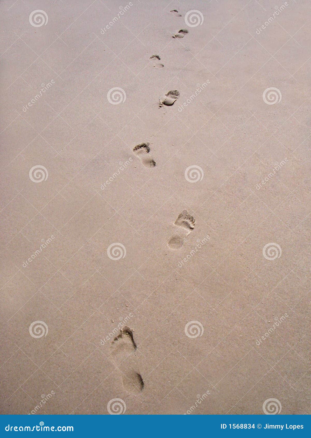 Footsteps in the Sand stock photo. Image of line, ocean - 1568834