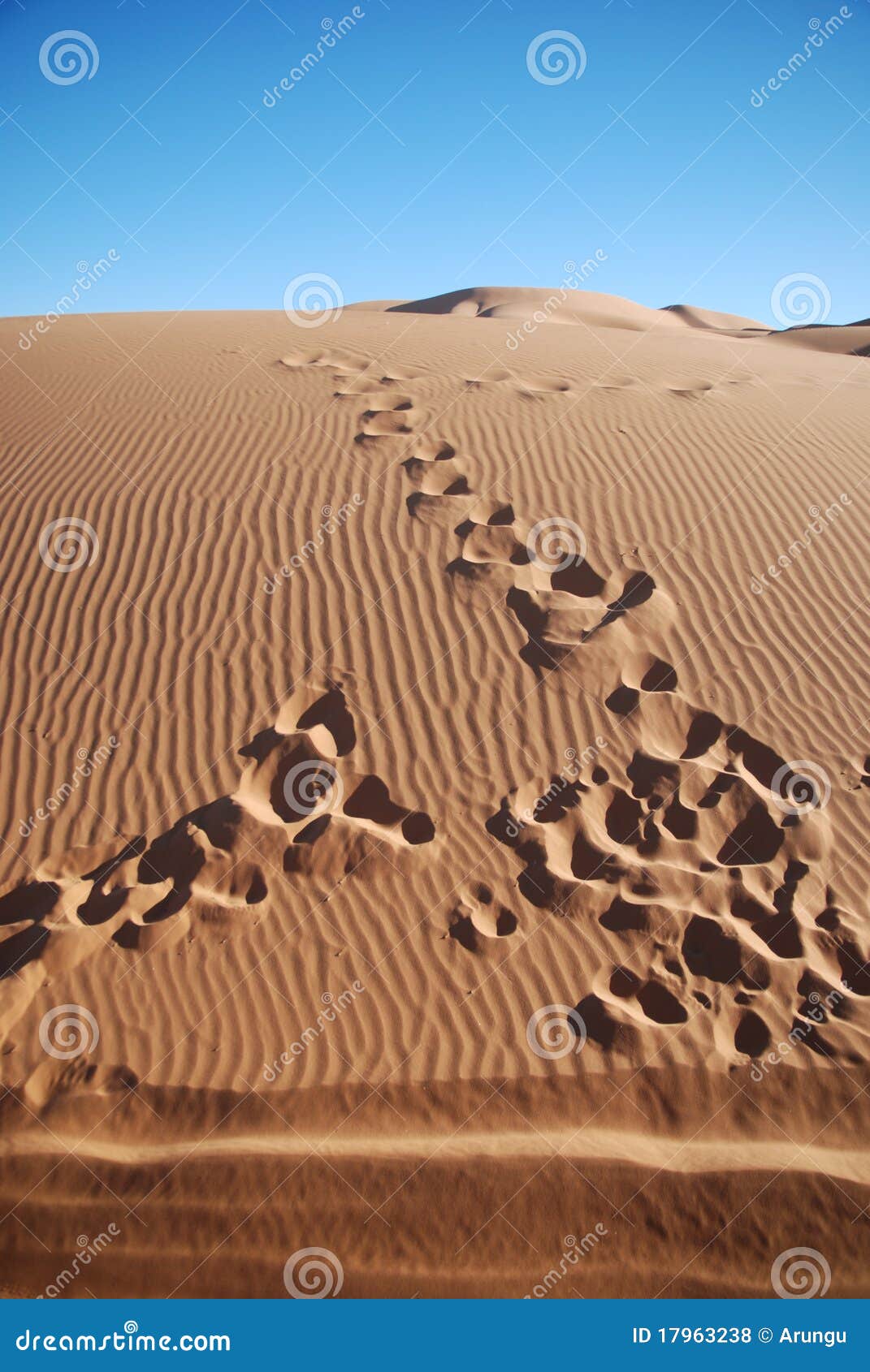 Footsteps in the sand stock photo. Image of freedom, desert - 17963238