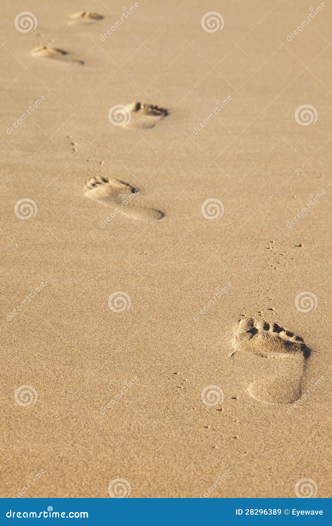 Footsteps in the sand stock image. Image of islands, feet - 28296389