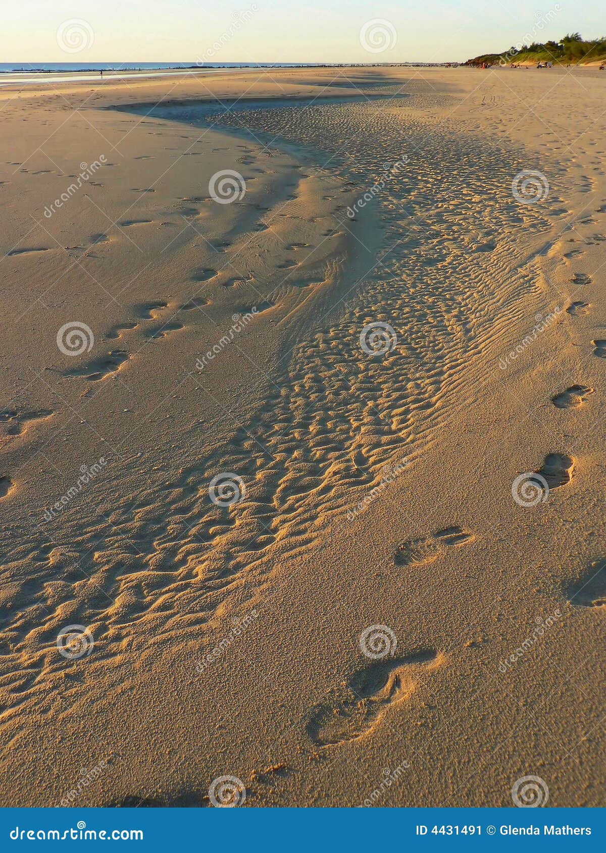 Footsteps in the Sand stock image. Image of sand, footsteps - 4431491
