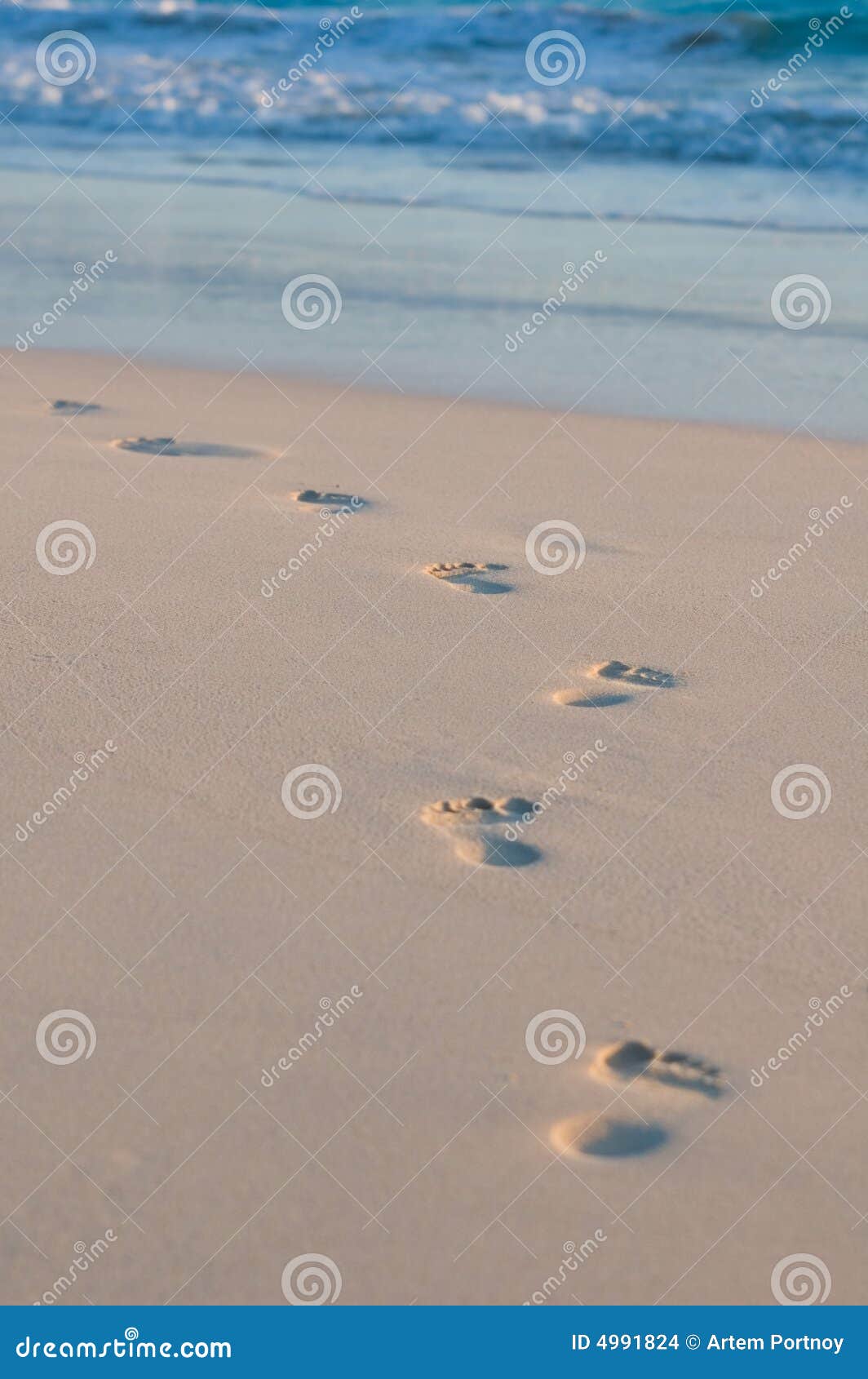 Footsteps in the Sand stock photo. Image of caribbean - 4991824