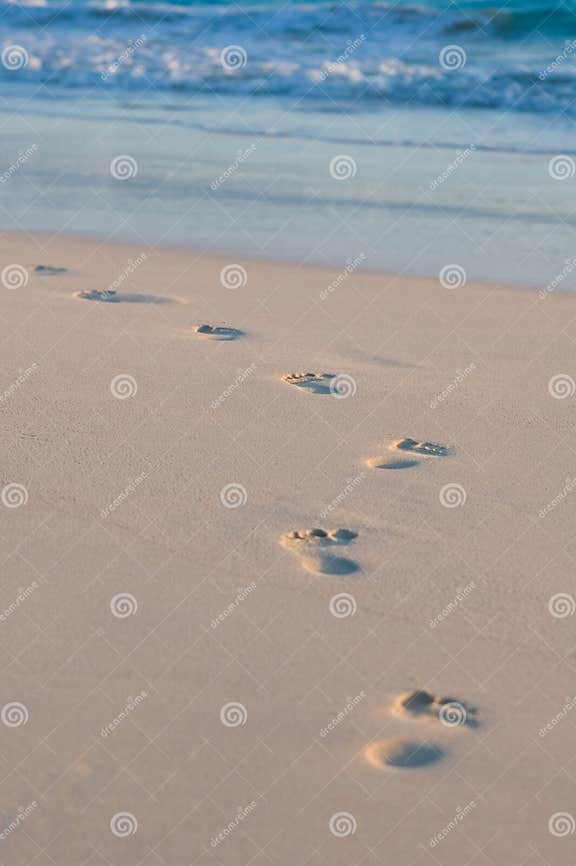 Footsteps in the Sand stock photo. Image of caribbean - 4991824