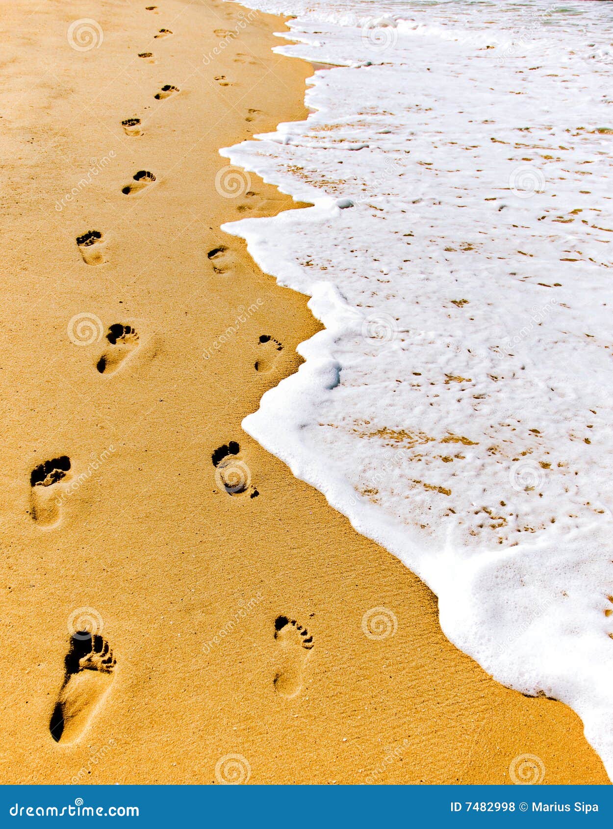 Footsteps in Sand stock photo. Image of profile, sharp - 7482998