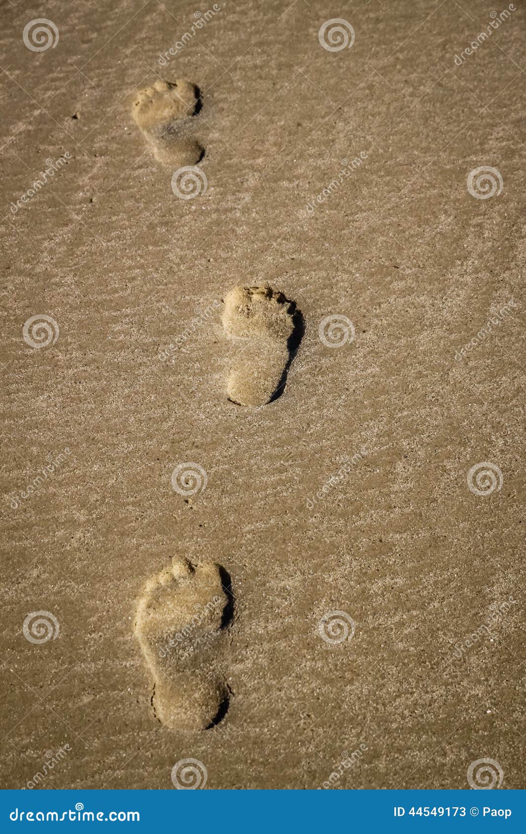 Footsteps in the sand stock image. Image of footsteps - 44549173