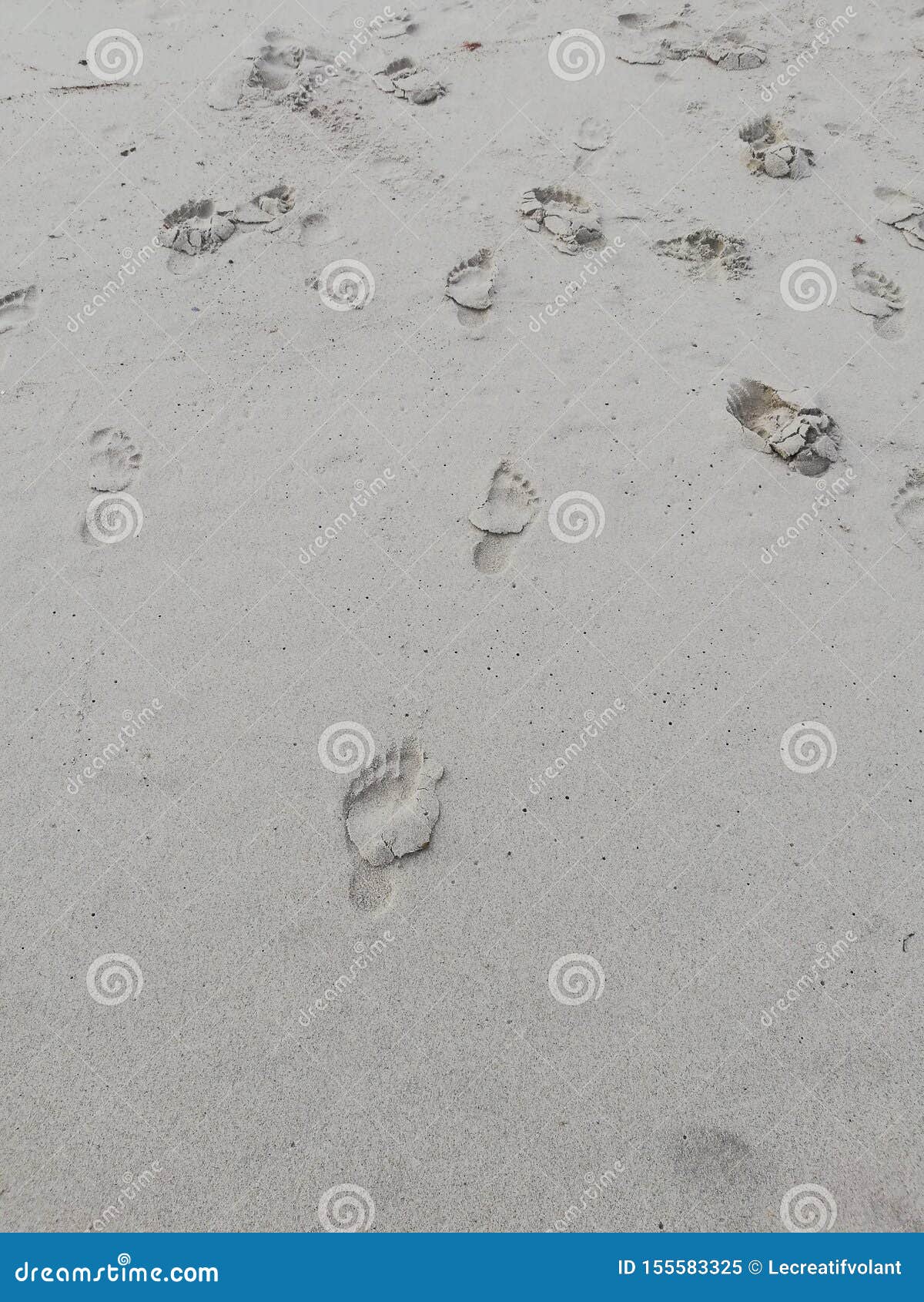 Footsteps in the Sand on a Beach Stock Image - Image of beach ...