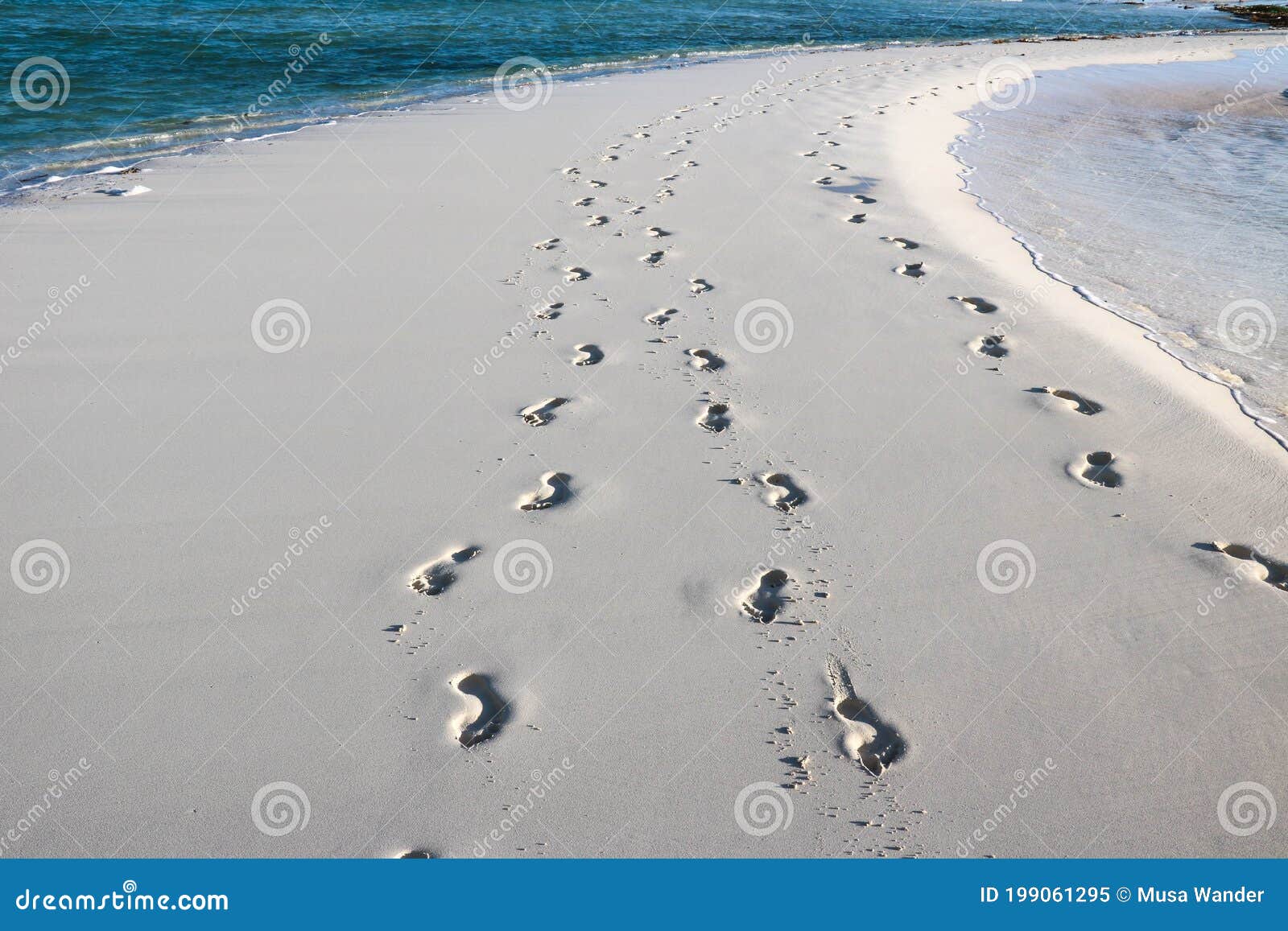 Footsteps in the Sand with Blue Ocean Caribbean Stock Image - Image of ...