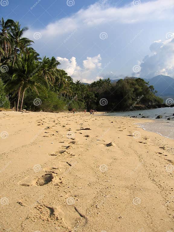 Footsteps in the Sand Philippines Beach Stock Photo - Image of ocean ...
