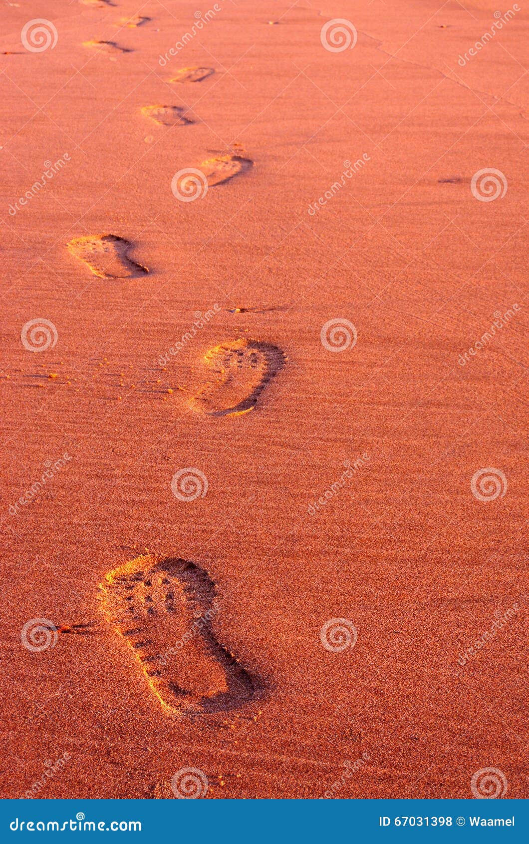 Footsteps in the sand stock photo. Image of nature, feet - 67031398