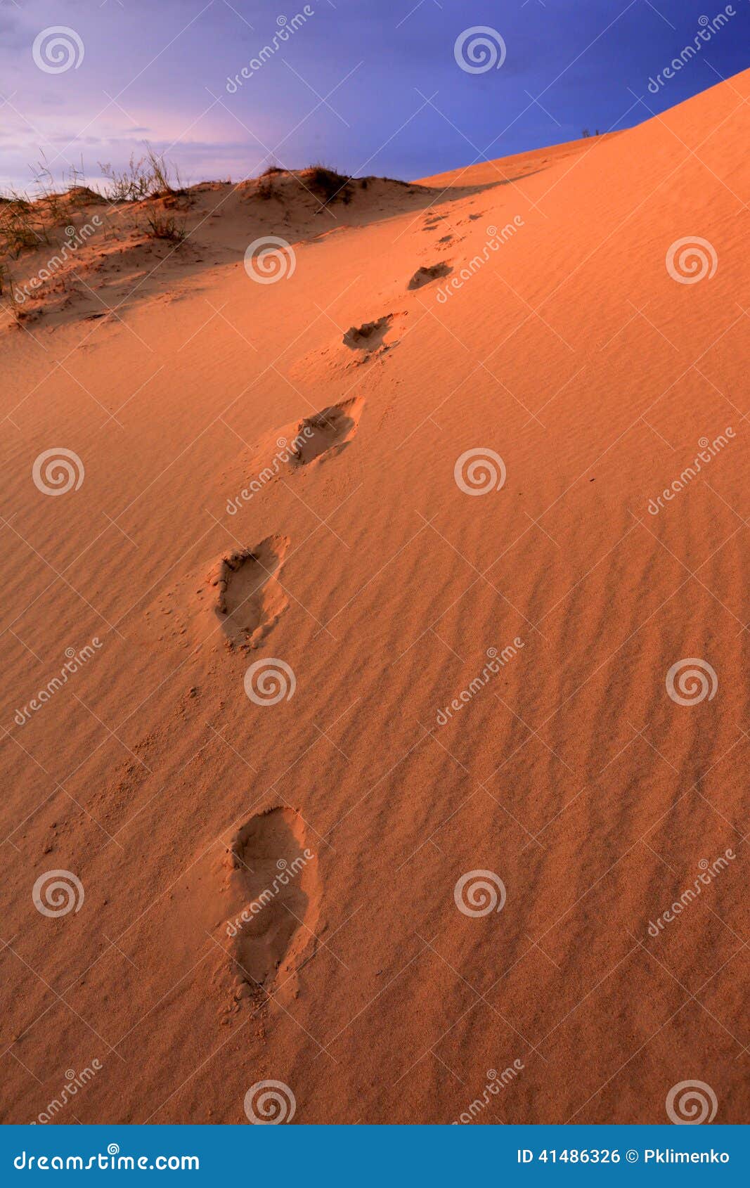 Footsteps on sand stock photo. Image of namib, travel - 41486326