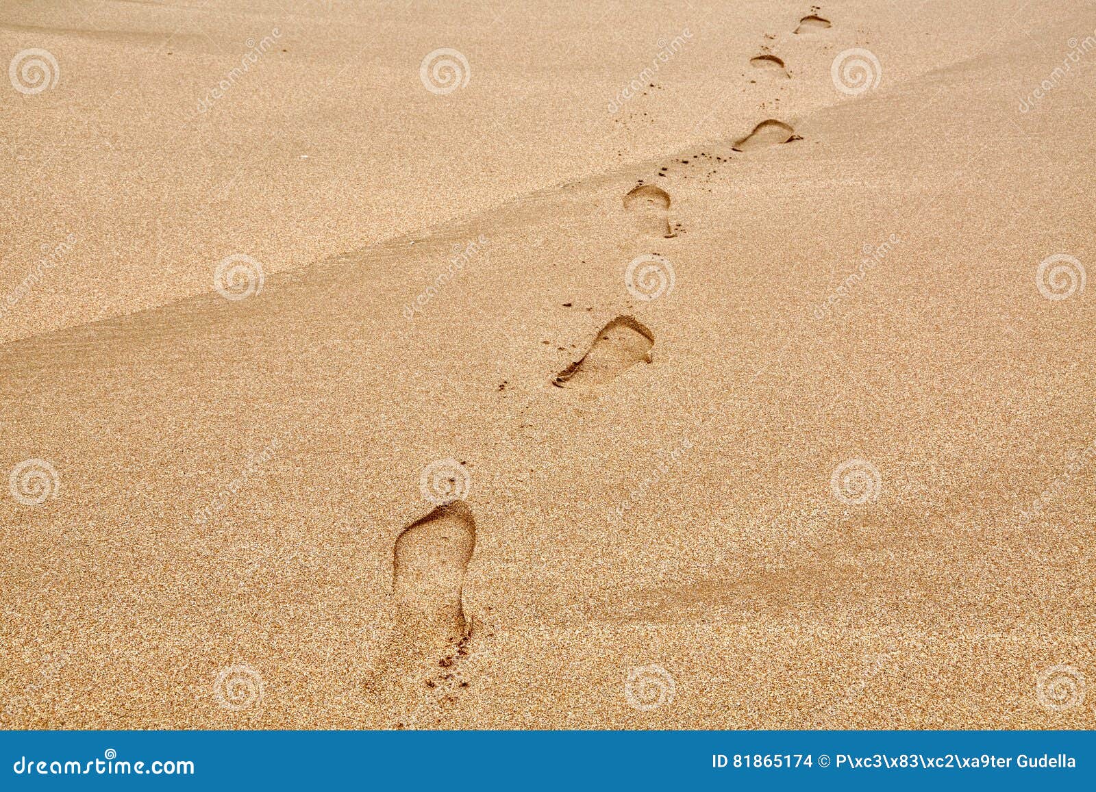 Footsteps in Sand stock photo. Image of footsteps, sand - 81865174