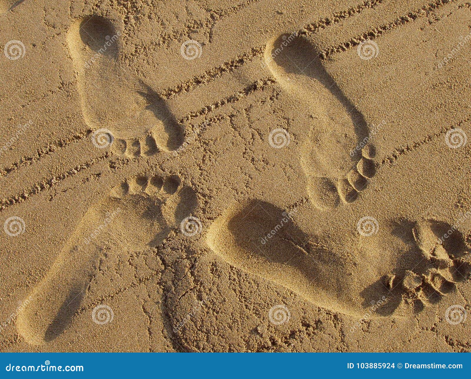 Footsteps in sand stock photo. Image of sand, light - 103885924