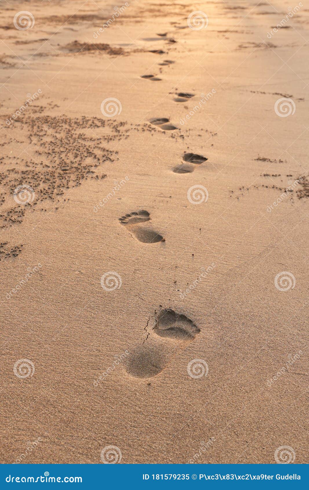 Footsteps in Sand stock image. Image of coast, beach - 181579235
