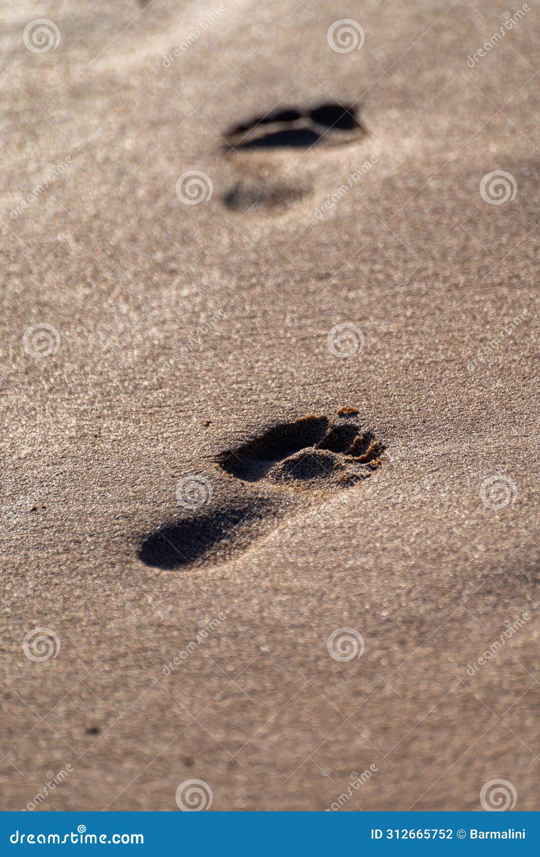 Footsteps on Sandy Beach on Sunset Lights Stock Photo - Image of beauty ...