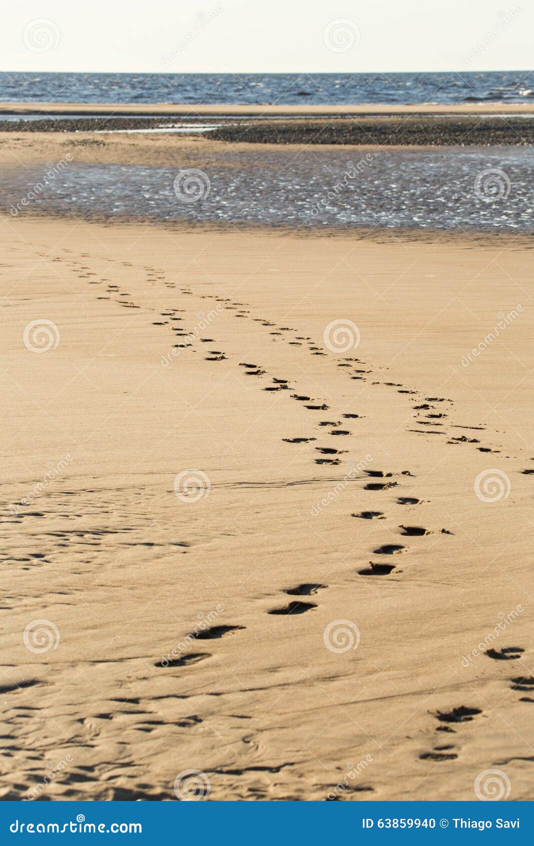 Footsteps at the Shore of the Beach Stock Photo - Image of australia ...
