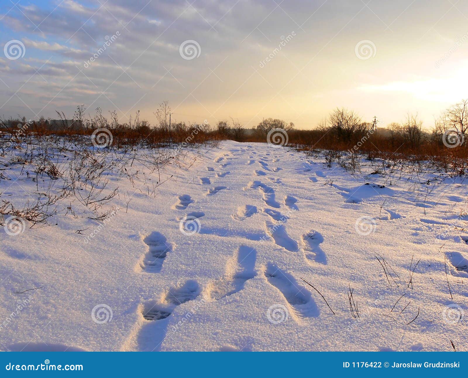 Footsteps in the snow stock photo. Image of stamping, footmark - 1176422