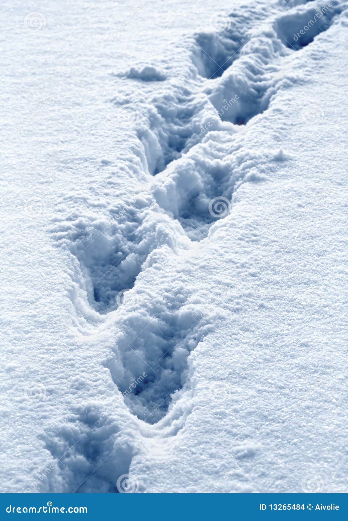 Footsteps in the snow stock photo. Image of season, background - 13265484