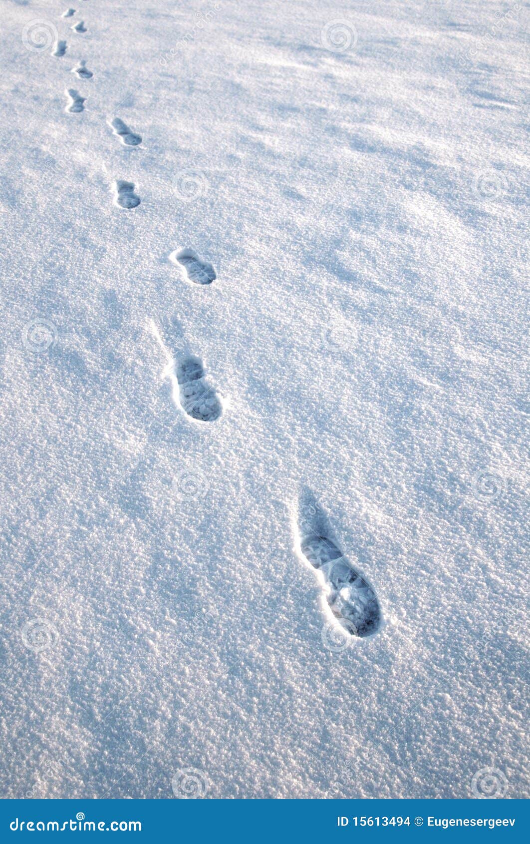 Footsteps in the snow stock photo. Image of cool, footmarks - 15613494