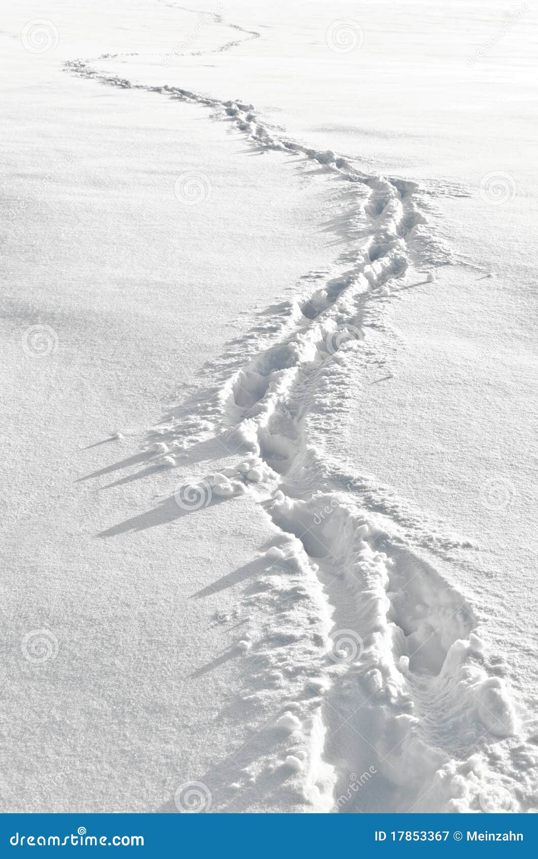 Footsteps on the snow stock image. Image of hiking, route - 17853367