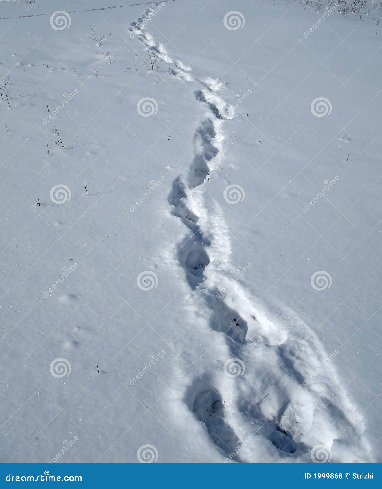 Footsteps in snow stock photo. Image of traces, cold, snow - 1999868
