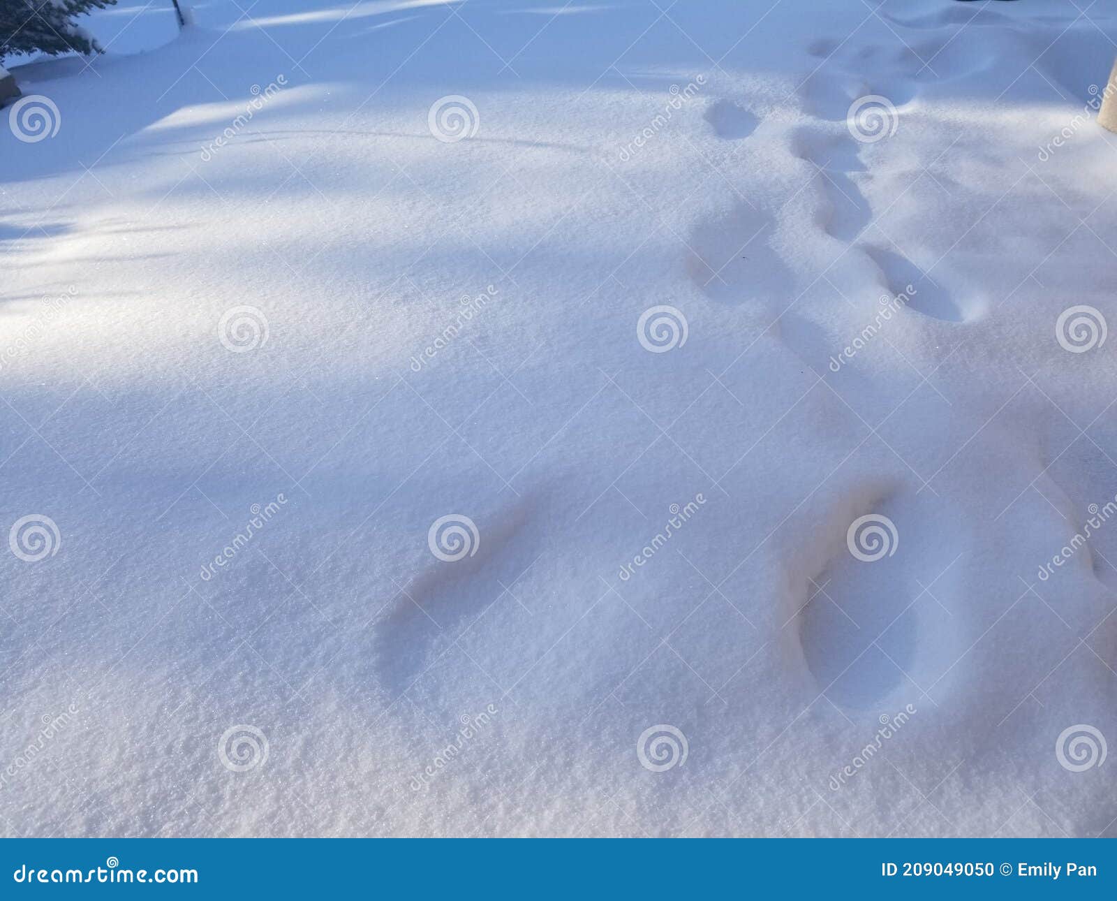 Footsteps in the Snow stock photo. Image of drawing - 209049050