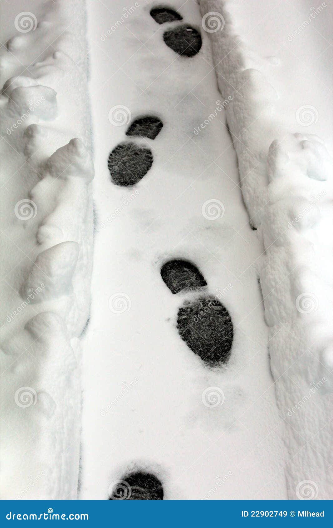 Footsteps in the snow stock image. Image of walk, footsteps - 22902749