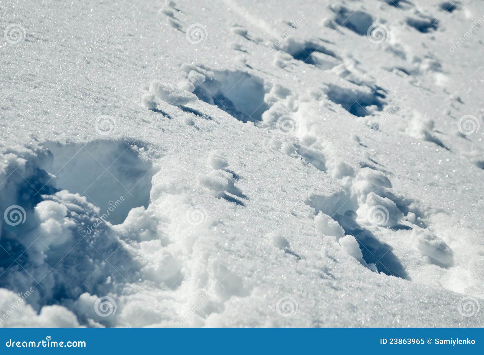 Footsteps on the snow stock image. Image of trace, footprint - 23863965